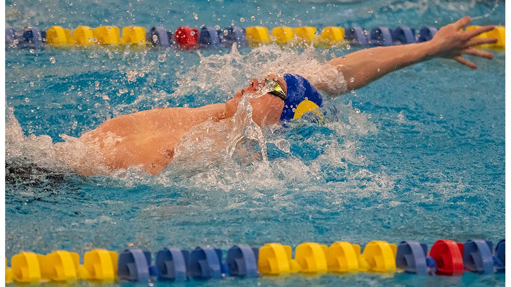 Swimming: Carmel boys go for 10th consecutive team state title, new ...