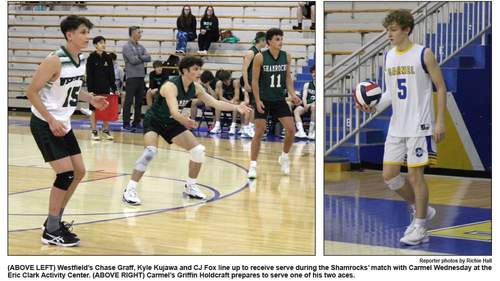 Boys volleyball: Shamrocks sweep Greyhounds